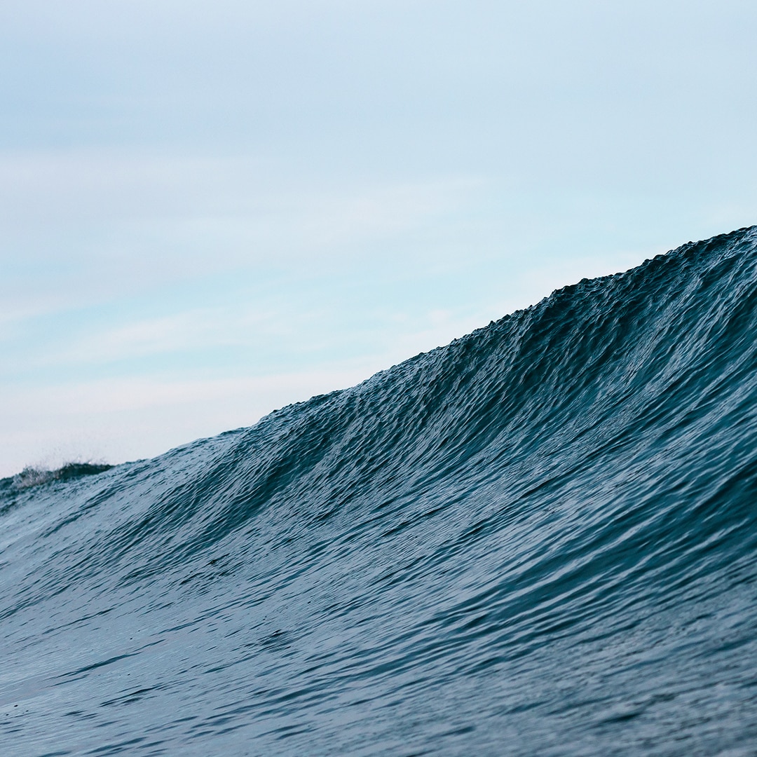 Cap Océan : l'alliance entre savoir-faire et qualité - Cap Océan